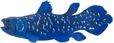 Mojo Animal Planet Coelacanth / od 3 let