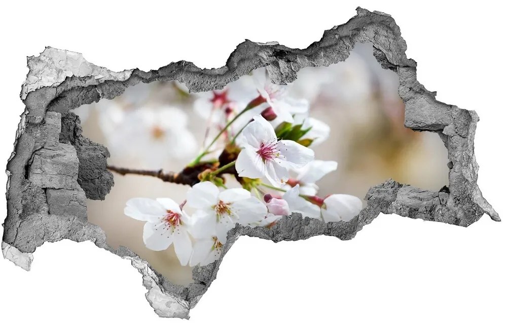 Wallmuralia Samolepící nálepka na zeď Květy višně 95x73 cm