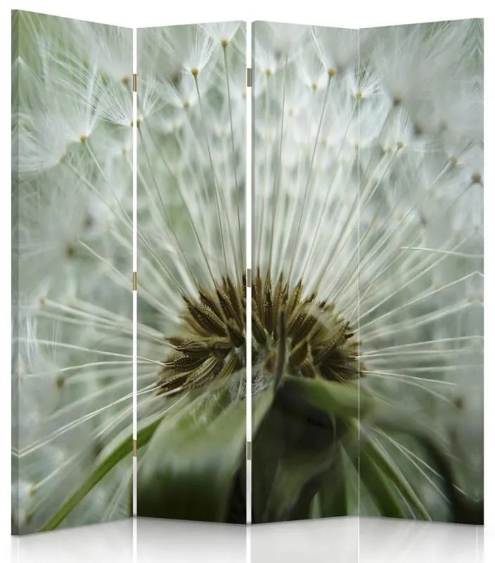 Paraván - Dandelion | čtyřdílný | oboustranný 145x150 cm