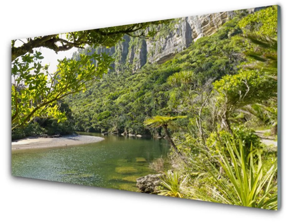 Obraz na skle Jezero Příroda 100x50 cm