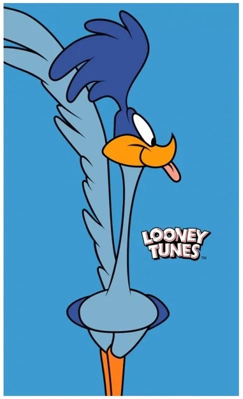Dětský ručník Looney Tunes - Road Runner - 100% bavlna s gramáží 350 gr./m² - 30 x 50 cm