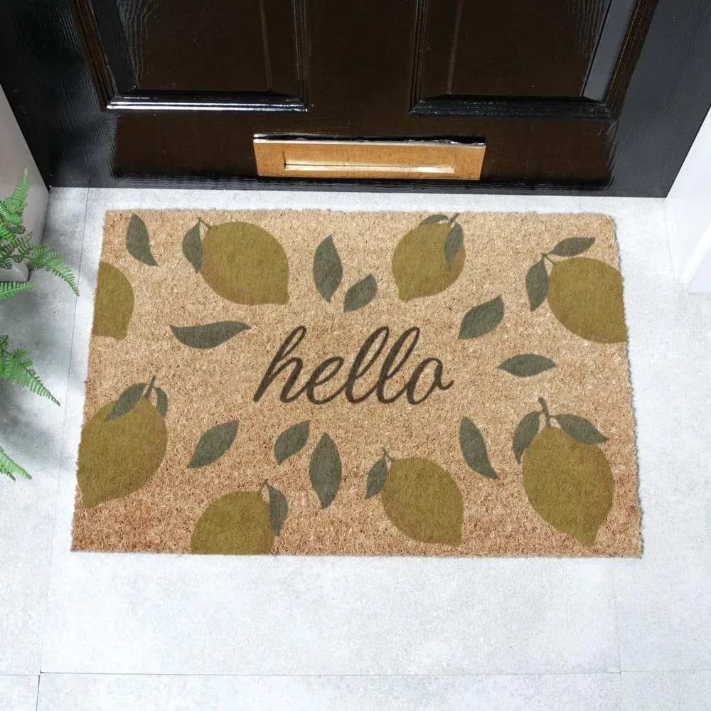 Rohožka z kokosového vlákna 40x60 cm Hello Lemons – Artsy Doormats