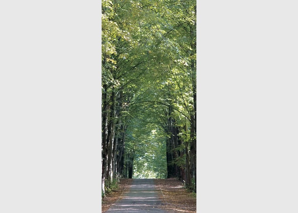 Vliesová fototapeta na zed' Stromová Alej | 202 x 90 cm | DFTNV2807