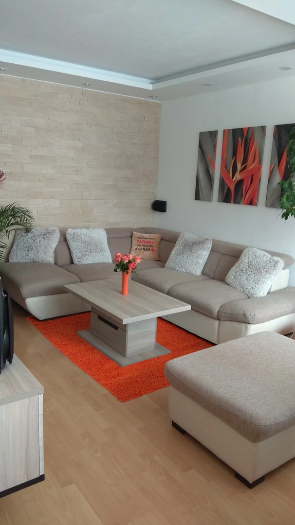 Mono Carpet, Kusový koberec Efor Shaggy 3419 Orange, 80x150, oranžová, ložnice