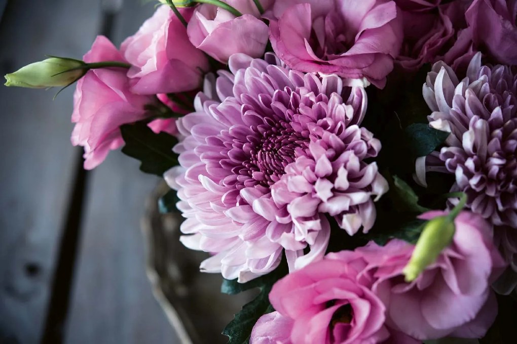 DIMEX | Samolepicí vliesová fototapeta na zeď Kytice fialových květin MA-5-1308 | 375 x 250 cm | černá, šedá, růžová
