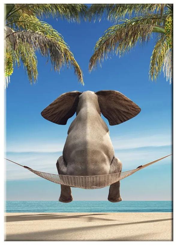 Obraz sloní váha Velikost (šířka x výška): 50x70 cm