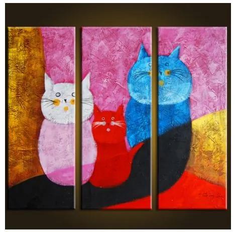 Vícedílné obrazy - Tři kočky