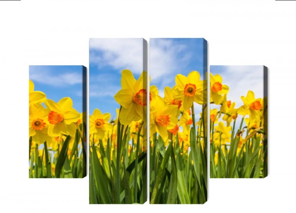 Vícedílný obraz 3D Pole Narcisů Nedostatek Nedostatek Přírodní plátno 160x120