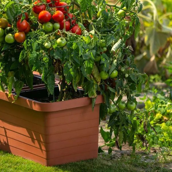 Samozavlažovací velkoobjemový truhlík Berberis TRIO terakota 117 cm