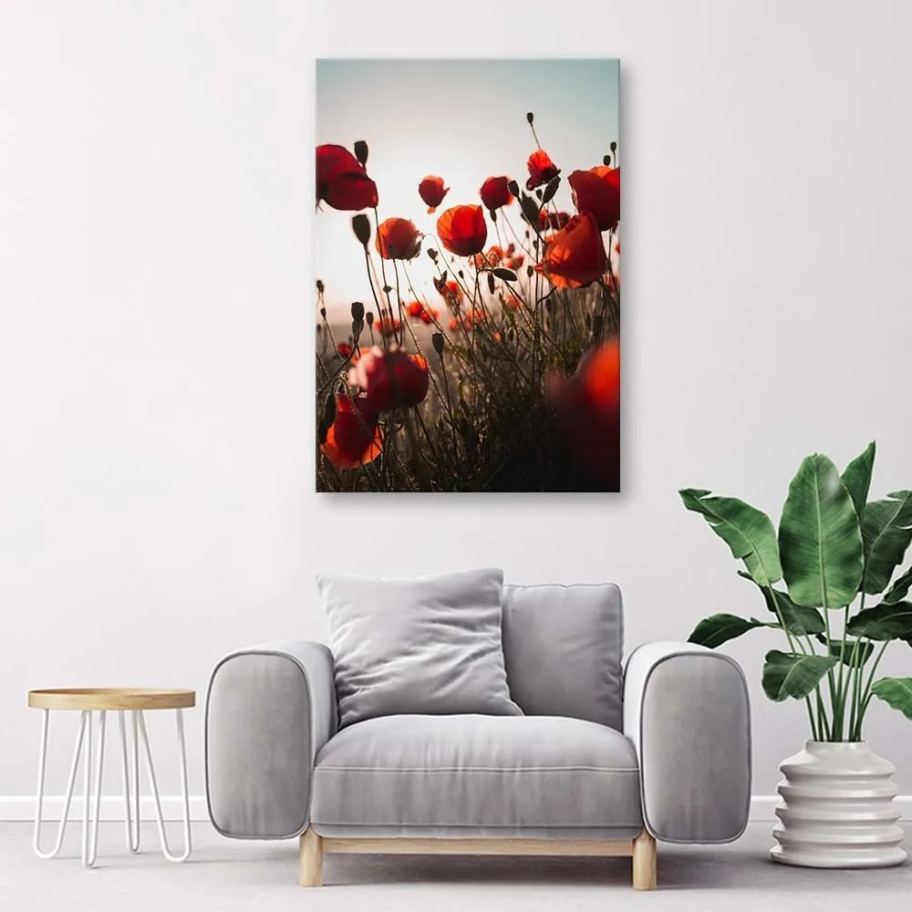 Gario Obraz na plátně Mák na slunci Rozměry: 40 x 60 cm