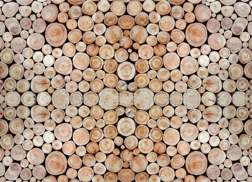 Malvis ® Tapeta Špalky dřeva Vel. (šířka x výška): 360 x 260 cm
