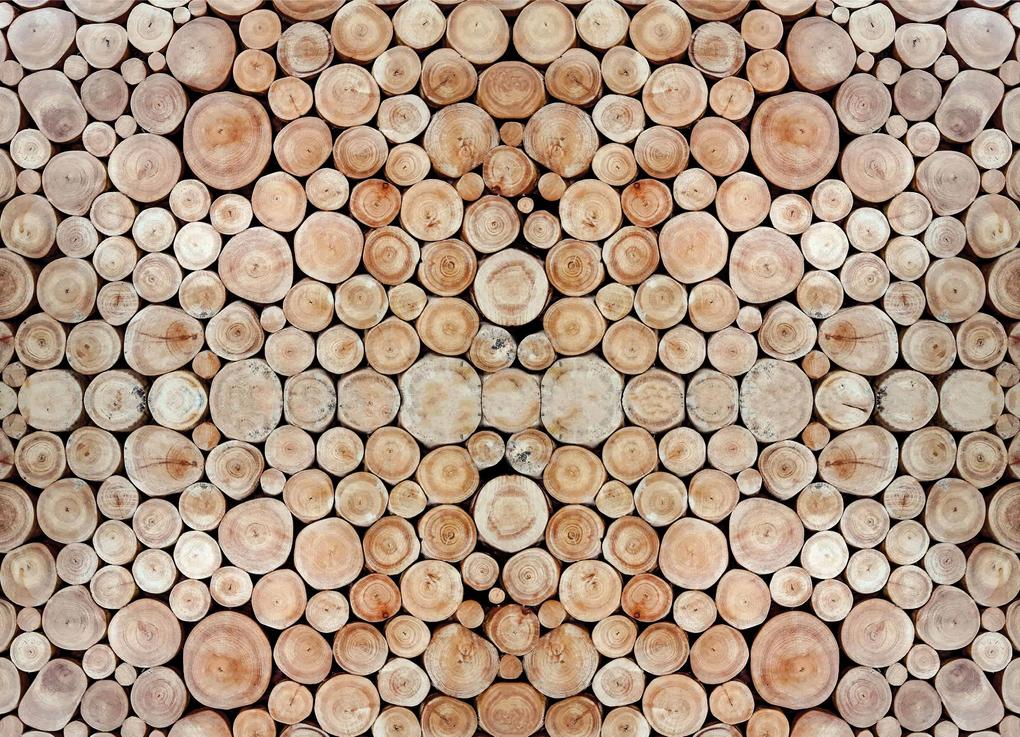 Malvis ® Tapeta Špalky dřeva Vel. (šířka x výška): 504 x 310 cm