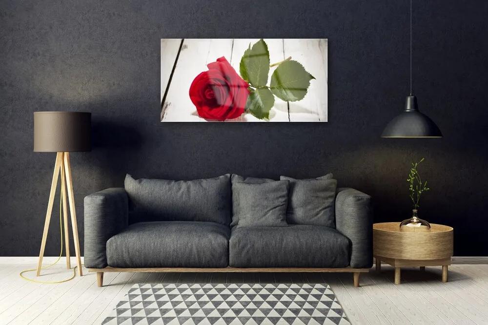 Obraz na skle Růže Květ Rostlina 120x60 cm