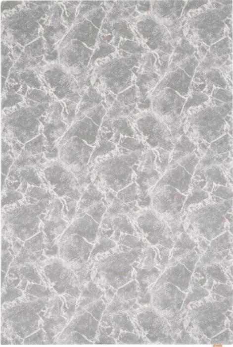Kusový koberec Alfred platina 200 x 300 cm