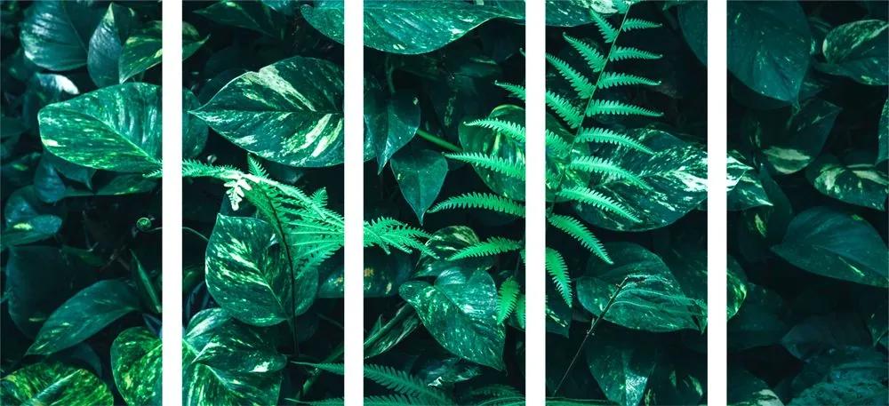5-dílný obraz svěží tropické listy Varianta: 200x100