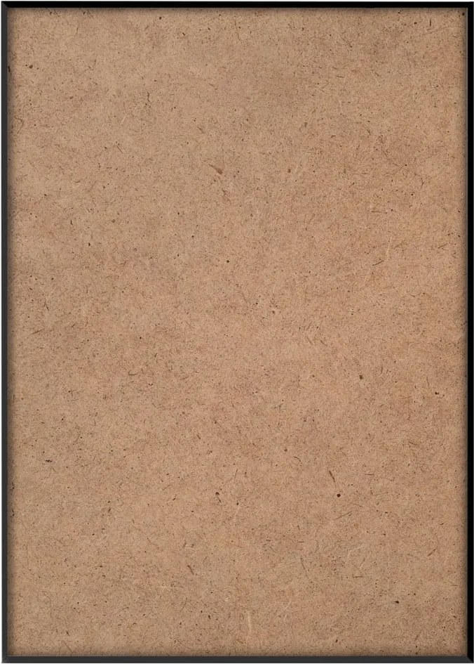 Obraz 50x70 cm Rosemary – Styler