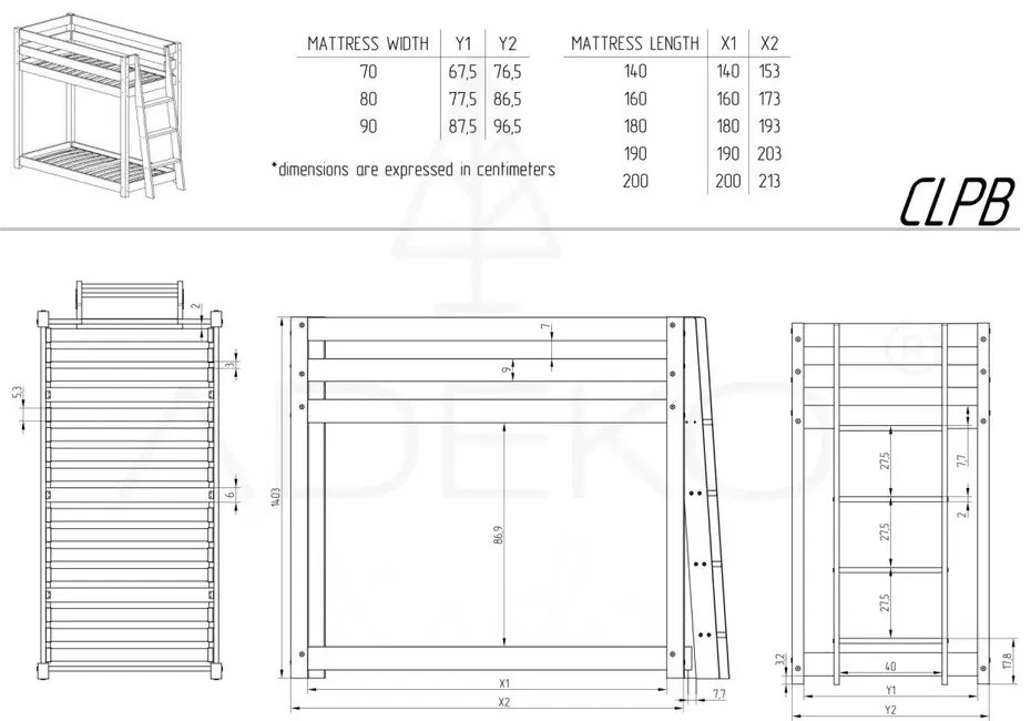 Patrová dětská postel s výsuvným lůžkem s úložným prostorem s roštem v přírodní barvě 90x180 cm CLPB – Adeko