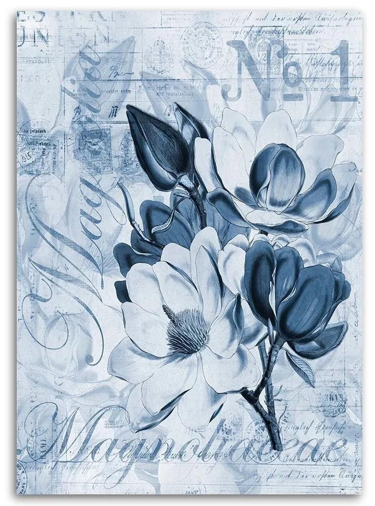 Gario Obraz na plátně Magnólie na modrém pergamenu - Andrea Haase Rozměry: 40 x 60 cm