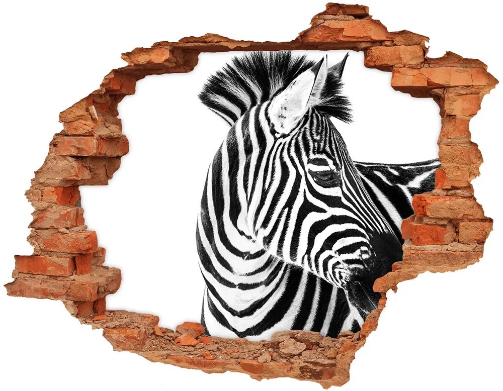 Wallmuralia Díra 3D fototapeta nálepka Zebra na sněhu 90x70 cm