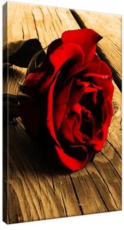 Tištěný obraz Osamělá růže 20x30cm 1237A_1S