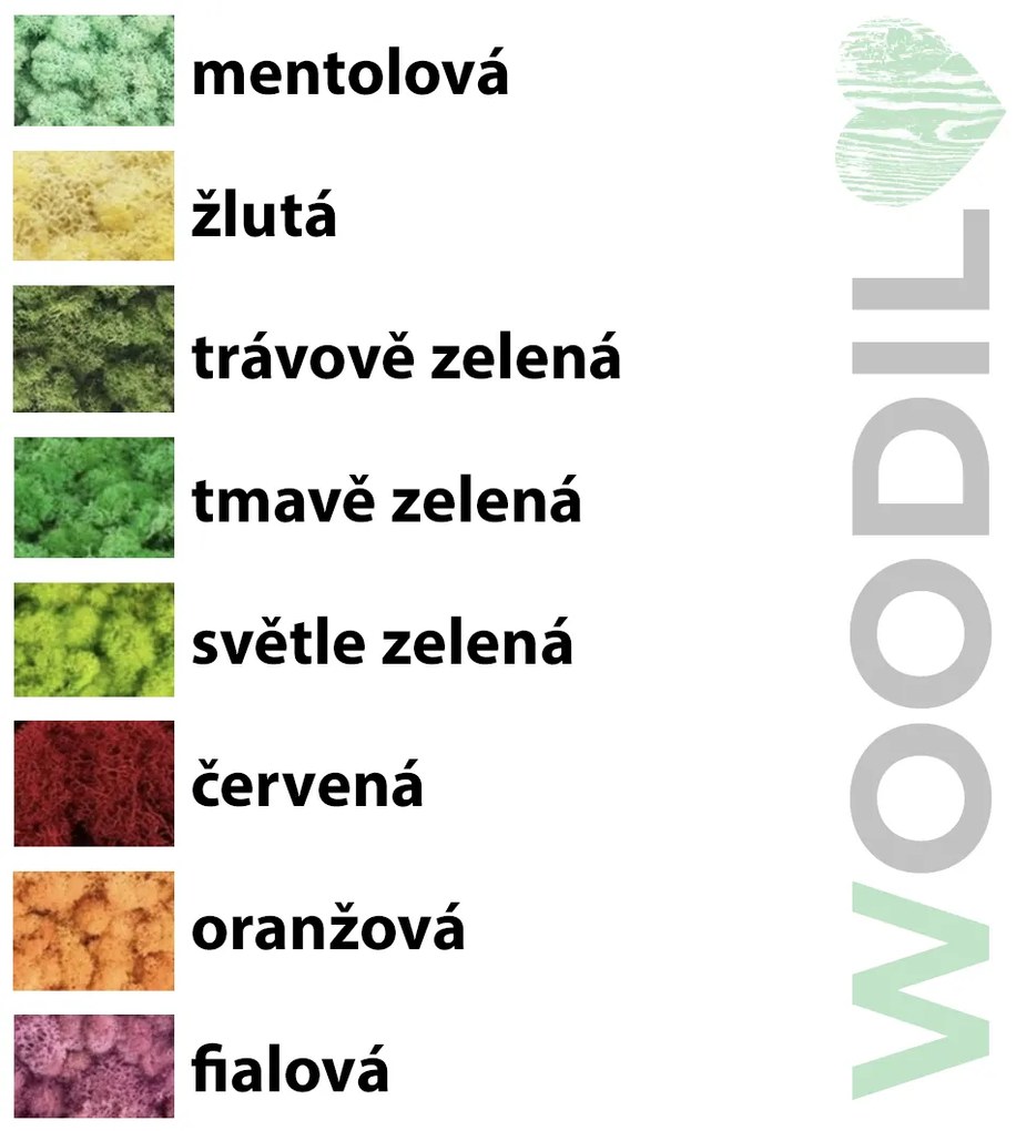 Mechový obraz|sada 2, 3 nebo 4 trojúhelníků | sobí mech Barva lišejníku: mentolová, Počet obrazů v sadě: 2 kusy