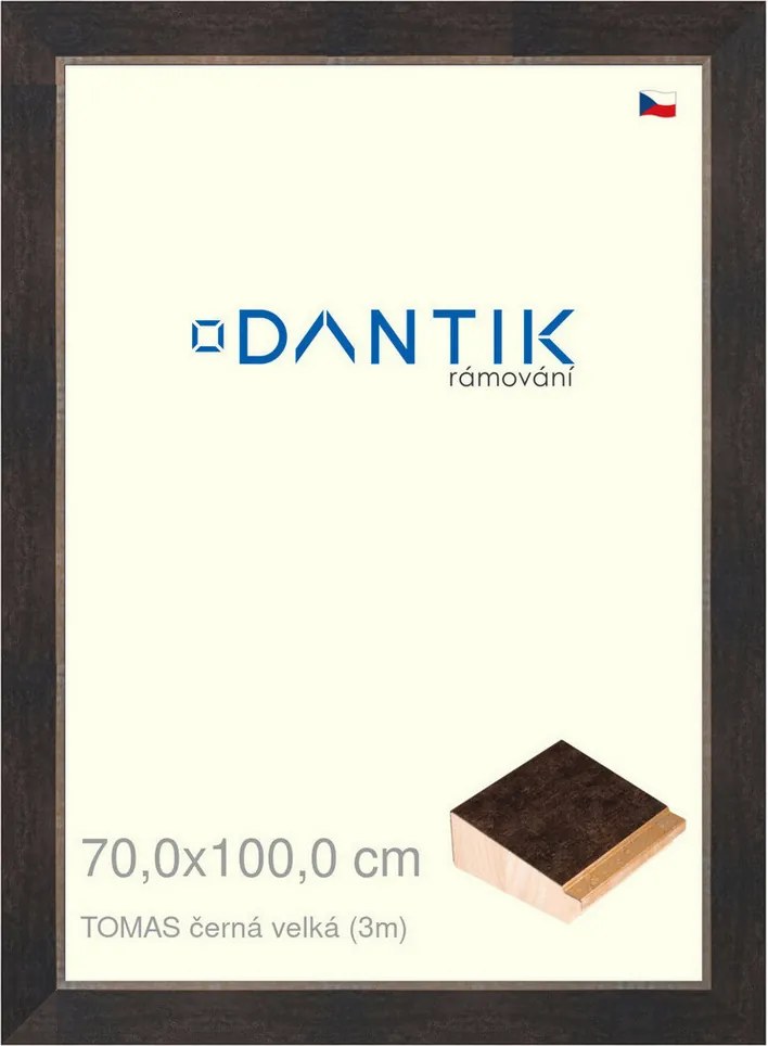 DANTIK rámeček 70x100 | TOMAS černá velká (Plexi Čiré)
