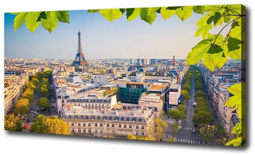 Wallmuralia Foto obraz canvas Paříž 100x50 cm