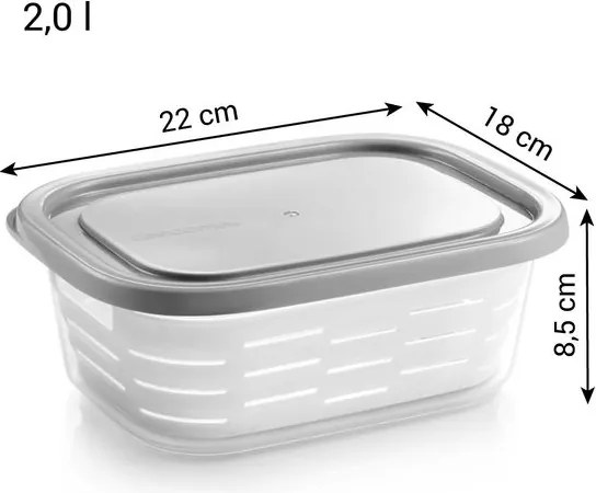TESCOMA Dóza do mrazničky s košíkem 4FOOD 2,0 l