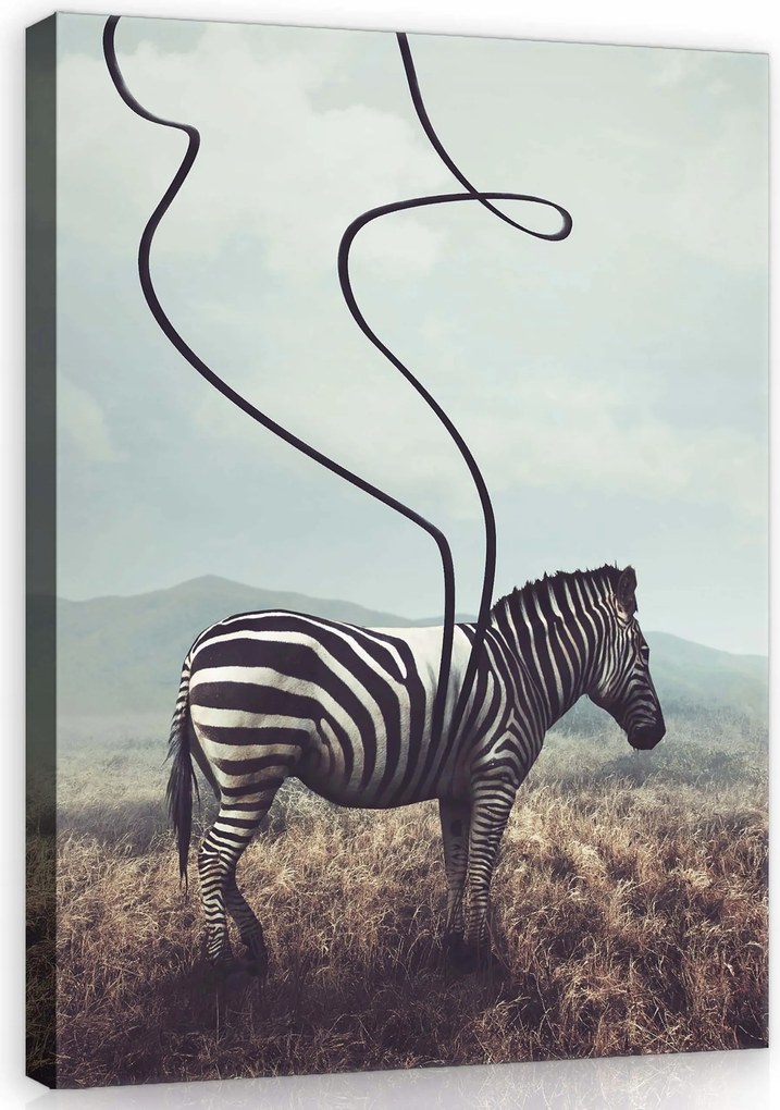Obraz 75x100 Zebra černobílé pruhy abstrakce surrealismus tajemno