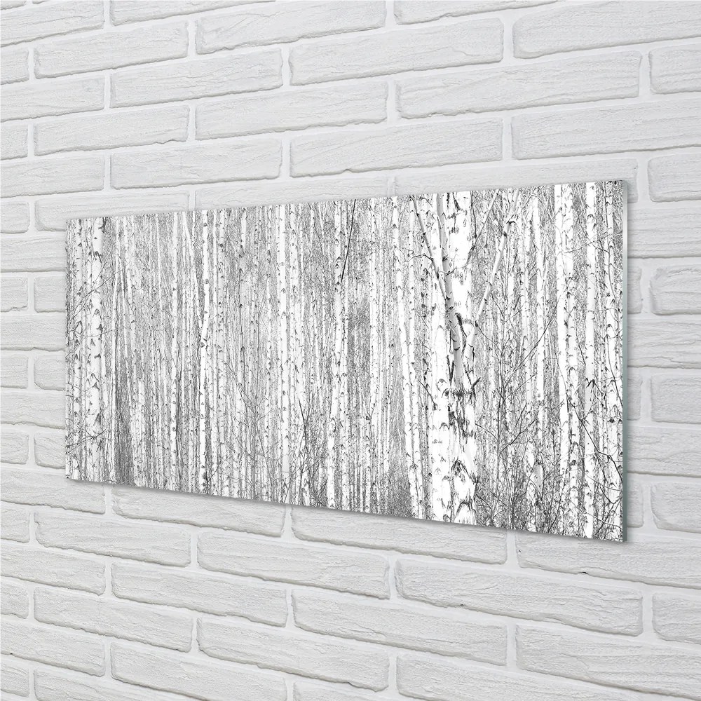 akrylový obraz Černá a bílá strom les 100x50 cm
