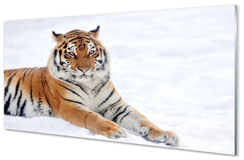 akrylový obraz Tiger winter 125x50 cm