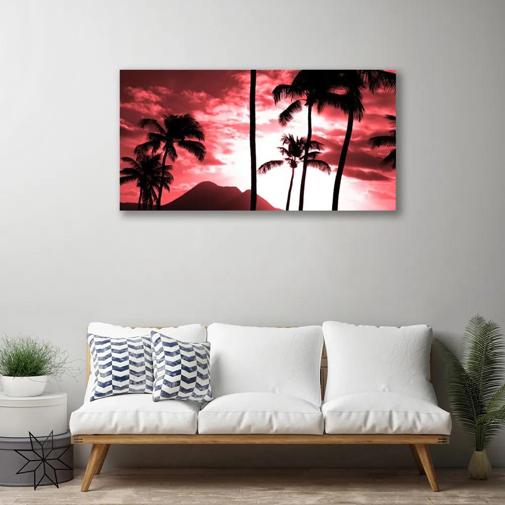 Obraz na plátně Hora Palmy Stromy Příroda 120x60 cm