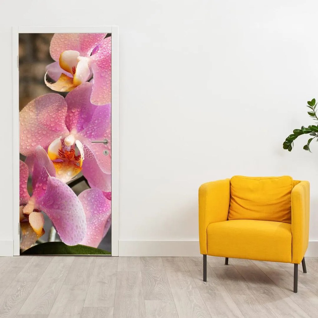 Fototapeta na dveře - orchideje (95x205cm)