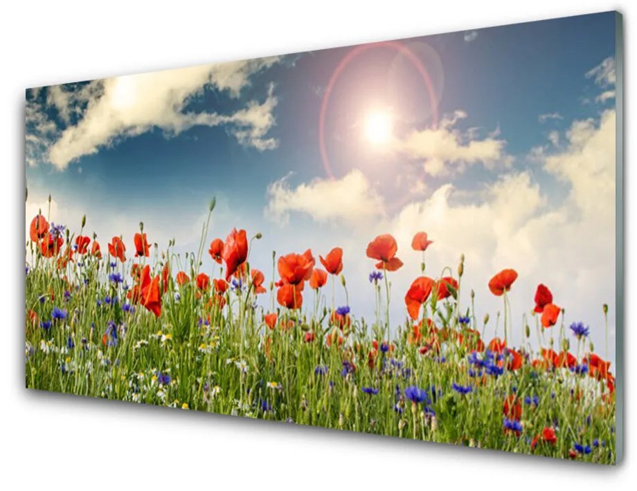 akrylový obraz Louka Květiny Slunce Příroda 140x70 cm
