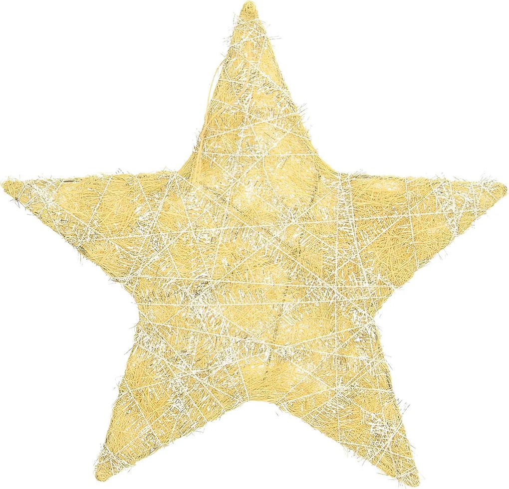 Vánoční ozdoba Golden Star II 30 cm