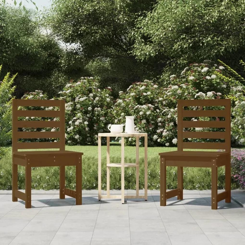 vidaXL Zahradní židle 2 ks 50x48x91,5 cm masivní borové dřevo [824030] Barva: Medově hnědá borovice