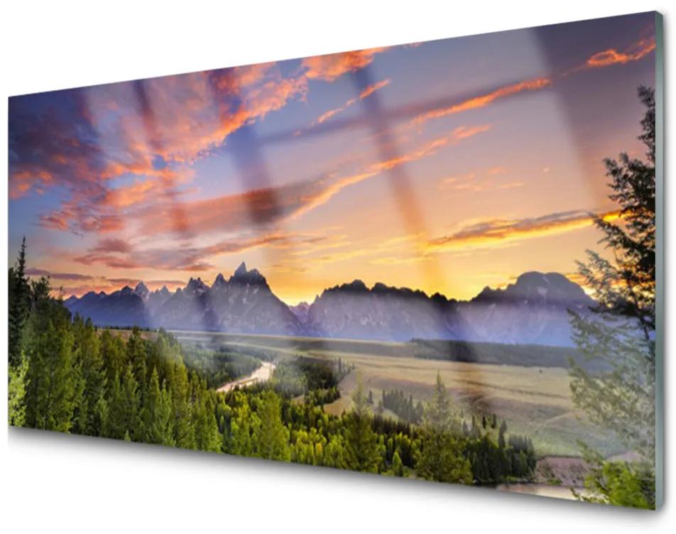 Skleněný obraz Hora Les Slunce Příroda