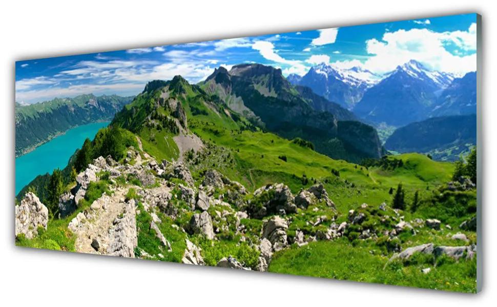 Plexisklo-obraz Louka Hory Krajina Příroda 125x50 cm