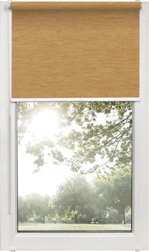 Roleta na okno - Prestige PR11 Barva ovládání: Bílá, šířka: 65, výška: 215