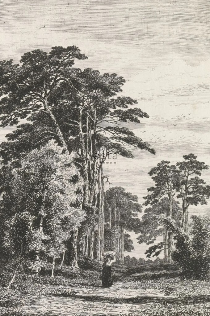 Esta Home Vliesová obrazová tapeta na zeď, Rytina borovicového lesa 158886 rozměry 1,86 x 2,79 m