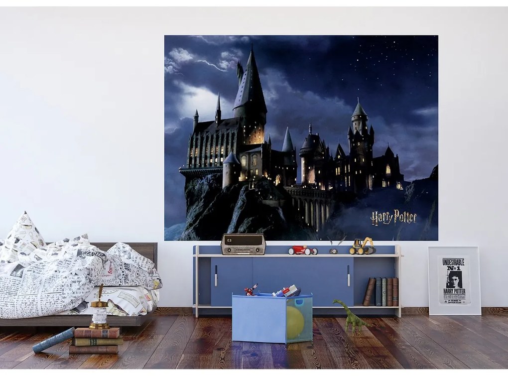 Dětská fototapeta Harry Potter 252 x 182 cm, 4 díly