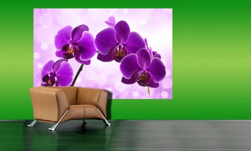 Tapeta - Fialová orchidea (126x78 cm) - Sablo.cz