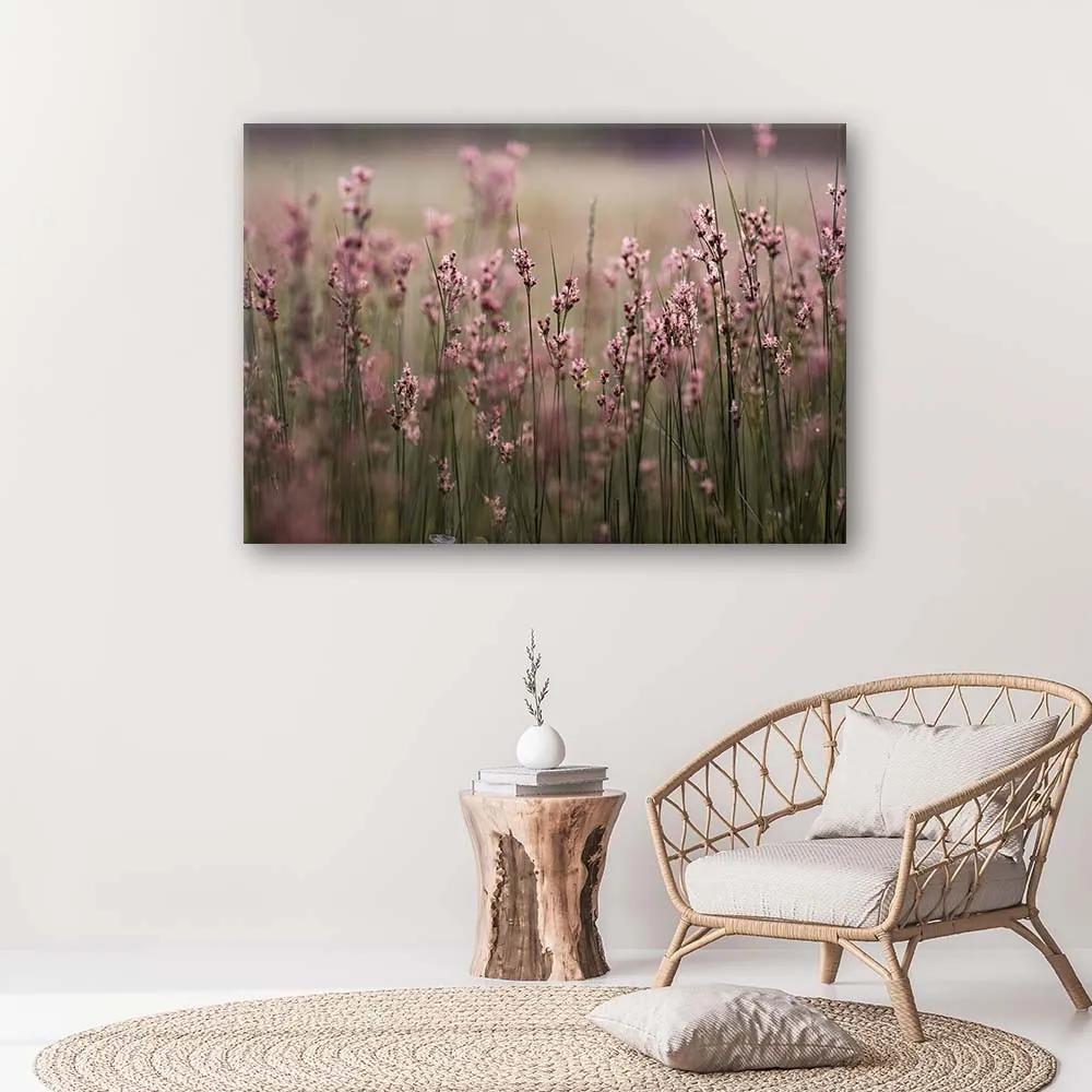 Gario Obraz na plátně Růžové polní květiny Rozměry: 60 x 40 cm