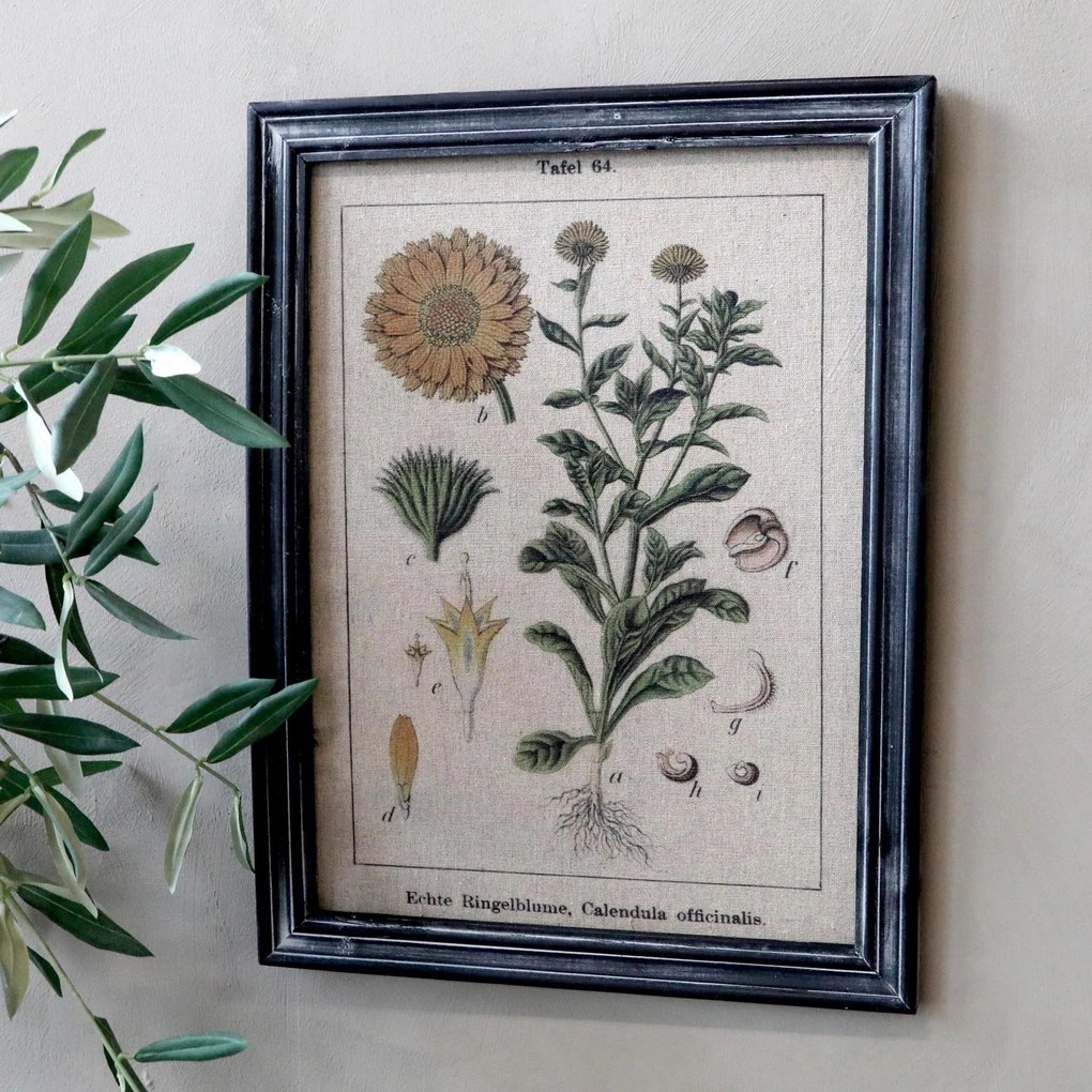 Chic Antique Botanický obraz v rámu Blomster, černá barva, dřevo, textil