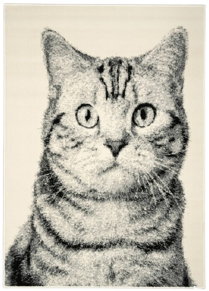 Alfa Carpets, Kusový koberec Cat grey, 190x280, šedá, dětský pokoj