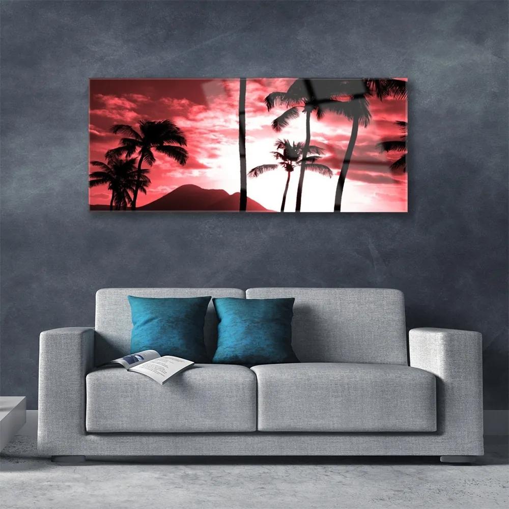 akrylový obraz Hora Palmy Stromy Příroda 125x50 cm