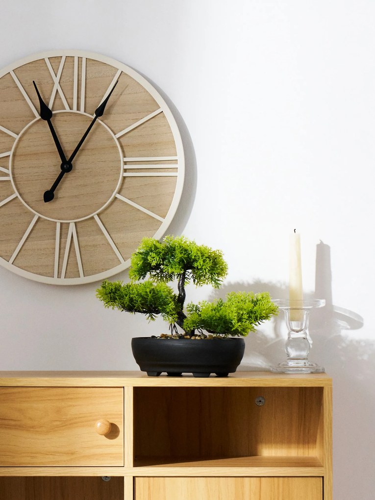 Sinsay - Dekorační rostlina bonsai v květináči - zelená