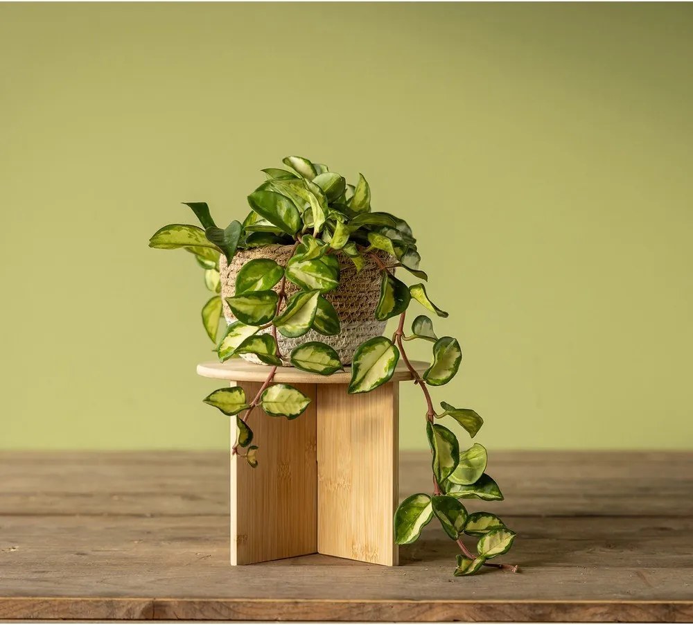 Bambusový stojan na květiny ø 25 cm (výška 19,5 cm) – Esschert Design