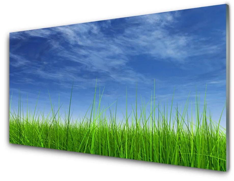 akrylový obraz Nebe Tráva Příroda 125x50 cm