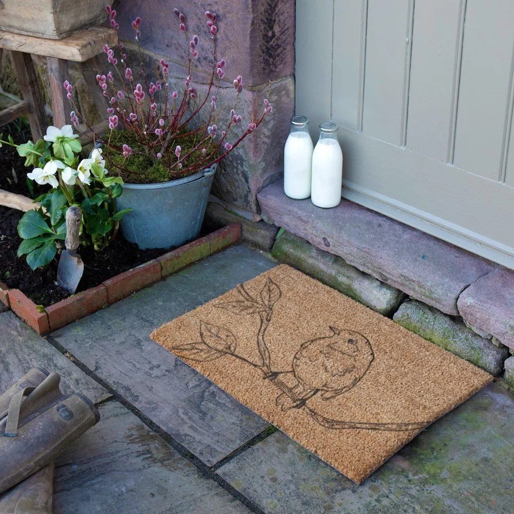 Rohožka z kokosového vlákna 40x60 cm Pencil Robin – Artsy Doormats